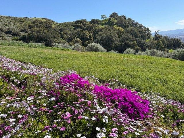 Boulder Dr, San Jose, CA 95132
