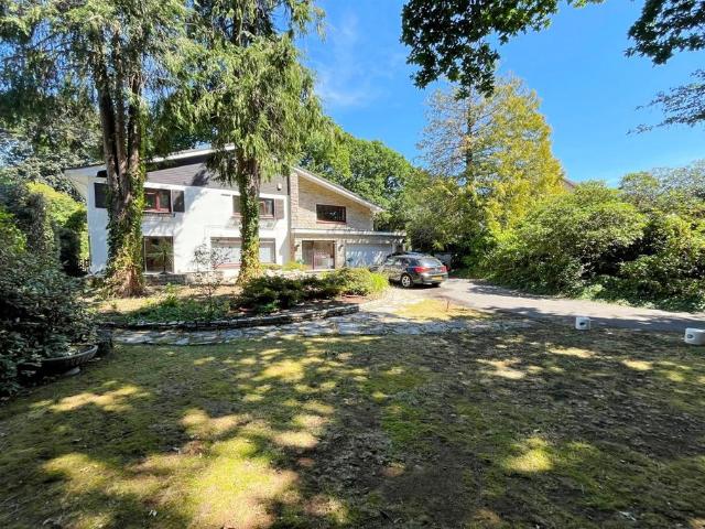 Bournemouth 4 bed detached house to rent £2,350 pcm £542 pw