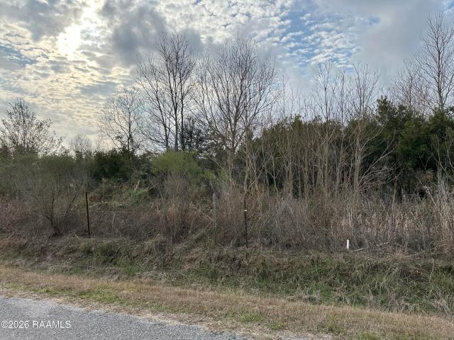 Bourque Rd, Gueydan, LA 70542 | MLS #2500006 | Compass