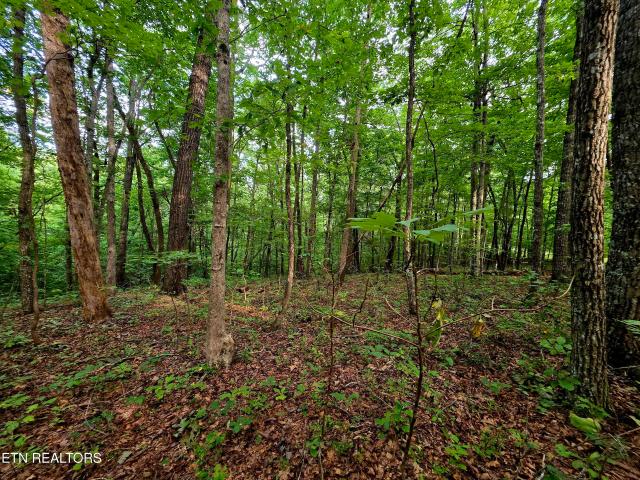 Bow Rd, Monterey, TN 38574