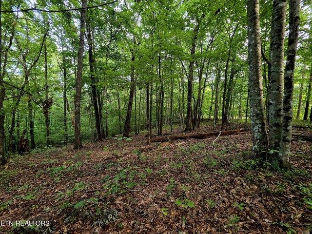 Bow Rd, Monterey, TN 38574