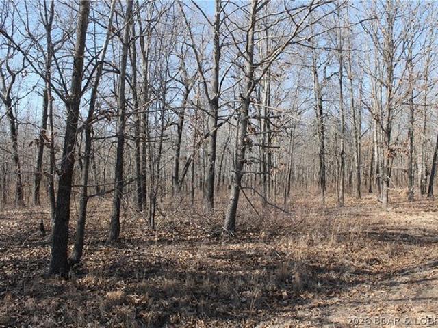 Bowden Pl Unit 1471, Edwards, MO 65326