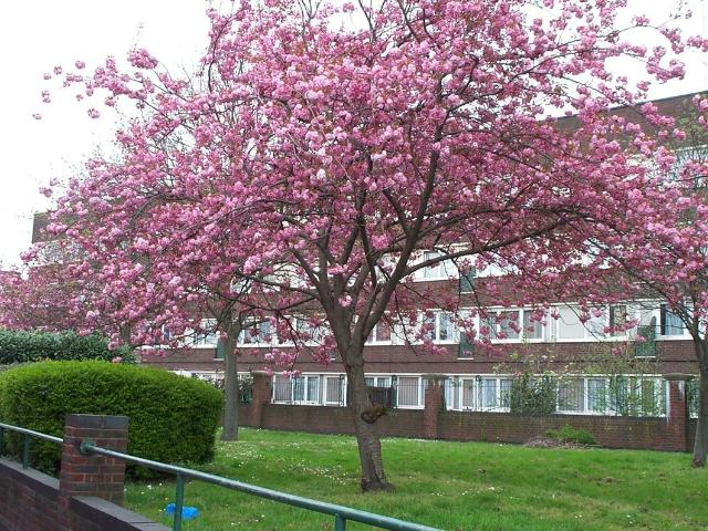 Bowditch, London SE8, Studio to rent, £1,250 pcm | PrimeLocation