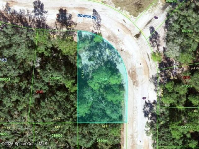 Bowfin Dr, Poinciana, FL 34759