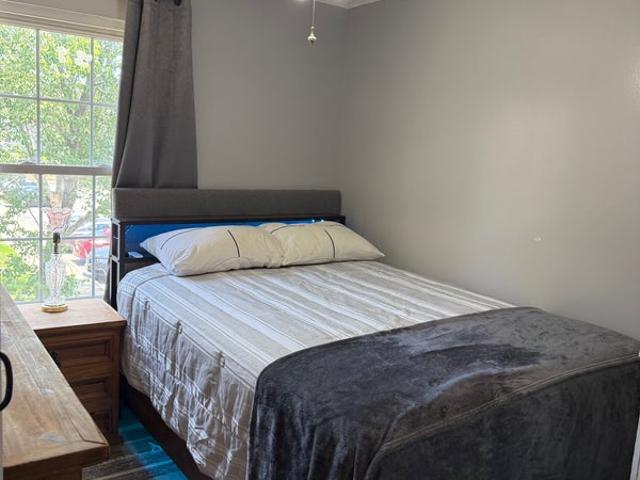 Bowie Small Room $650