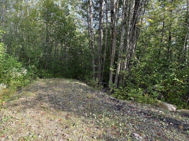 Bowling Green Ln, Belfast, Plot For Sale