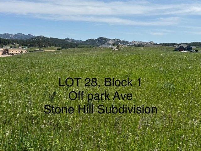 Bl 1 Lot 28, Park Avenue Custer, SD 57730