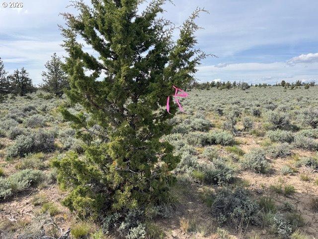 Blm 61 21 rd # 700