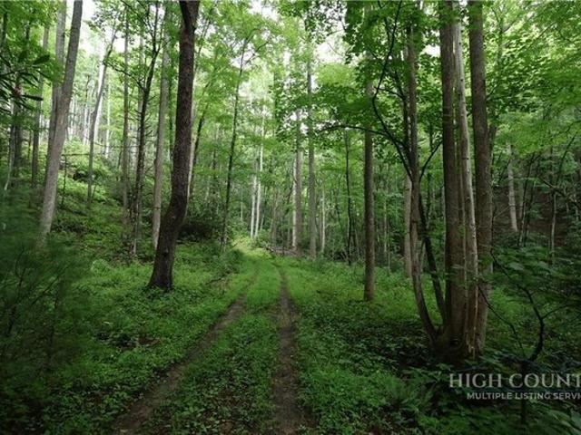 Blowing Rock Rd, Lenoir, NC 28645