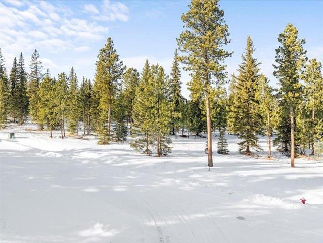 Block 6 Lot 6, Woodland Way Lead, SD 57754