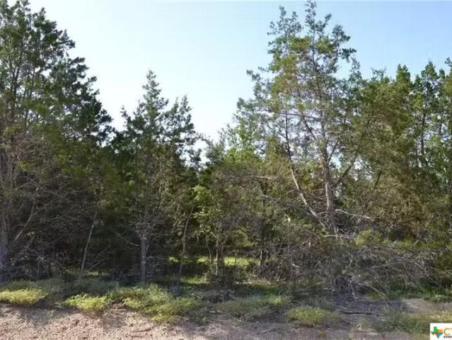 Block 7, Lot 17 Lampasas River Place Phase Two, Kempner, TX 76.