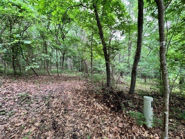 Block 12 Canova Pl Lot 4, Bella Vista, AR 72714