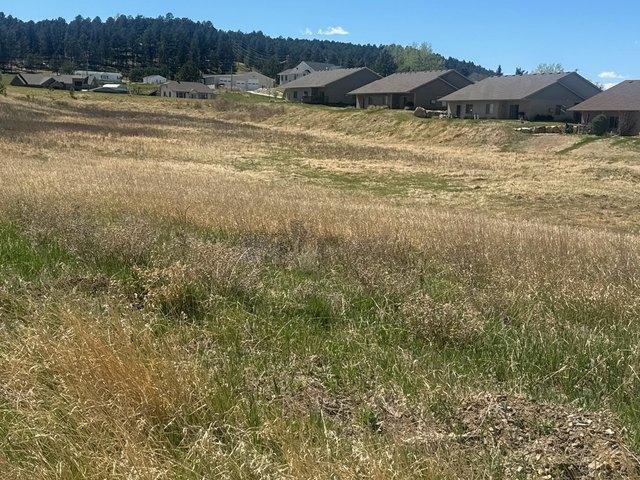 Block 1 Lot 11, Stone Hill Custer, SD 57730