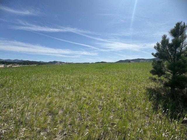 Block 1 Lot 23, Park Avenue Custer, SD 57730