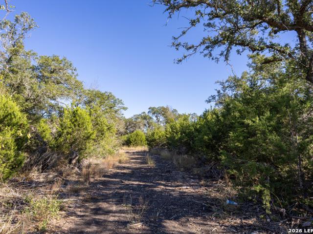 BLOCK 1, LOT 25 Standing Tall