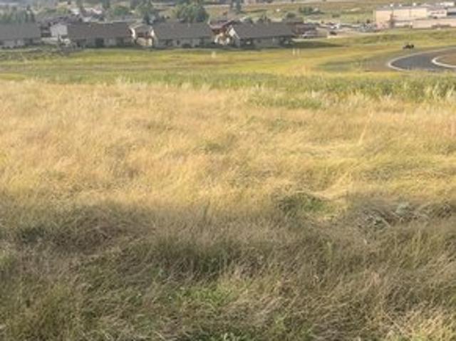Block 1 Stone Hill Lot Tbd Stone Hill Dr Lot 12, Custer, SD 57730