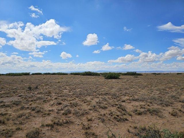 Block 1 Vl Rrgw Lot 29, Belen, NM 87002