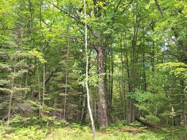 Block 2 S Shore Rd South Woodlands Shr Lot 3, La Pointe, WI 54850
