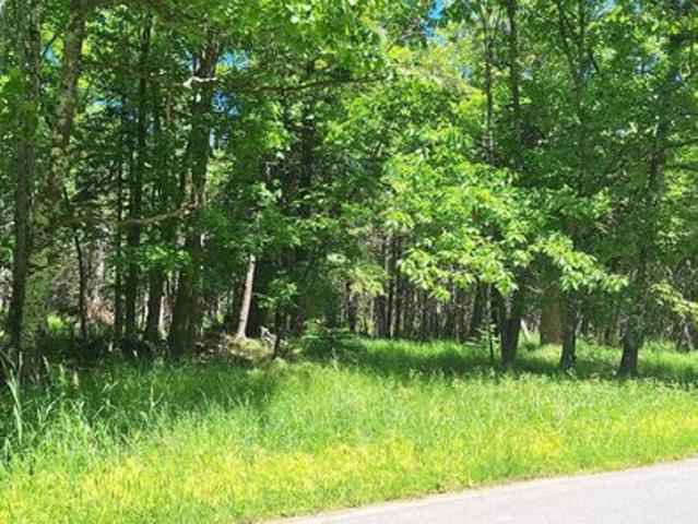 Block 2 S Shore Rd South Woodlands Shr Lot 1, La Pointe, WI 54850