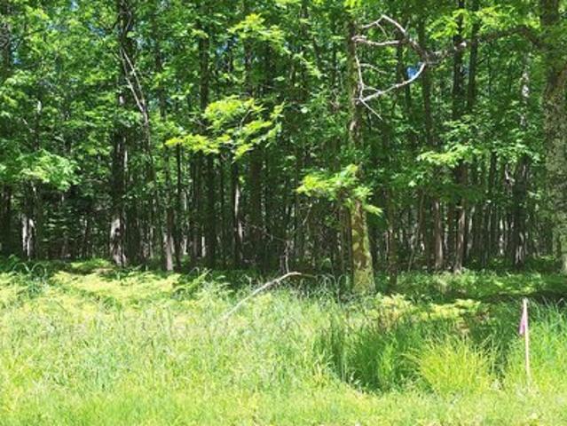 Block 2 S Shore Rd South Woodlands Shr Lot 4, La Pointe, WI 54850