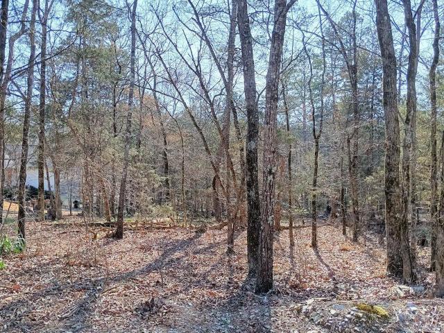 Block 3 Lot 34 Aracena Lane