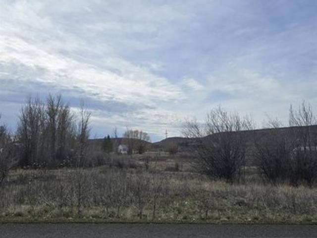 Block B Lot 2, Council, ID 83612