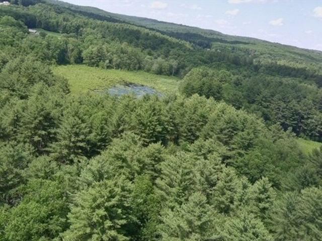 Blood Rd, Charlton, Plot For Sale
