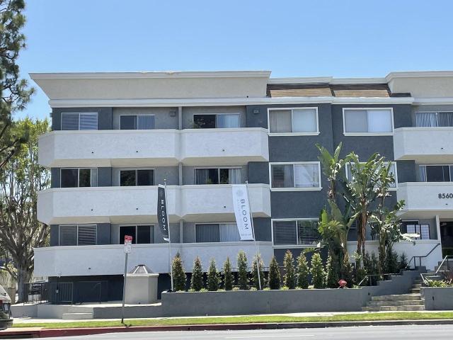 Bloom Beverly Hills Studio Apartment for Rent at 8560 W Olympic Blvd, Los Angeles, CA 90035 South Robertson