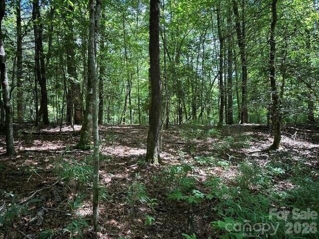 Blossom Rd, Brevard, NC 28712