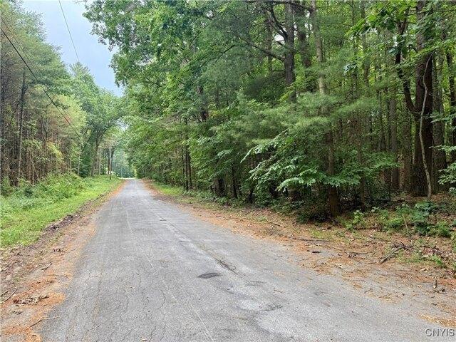 Blossvale NY 13308 LS92316807