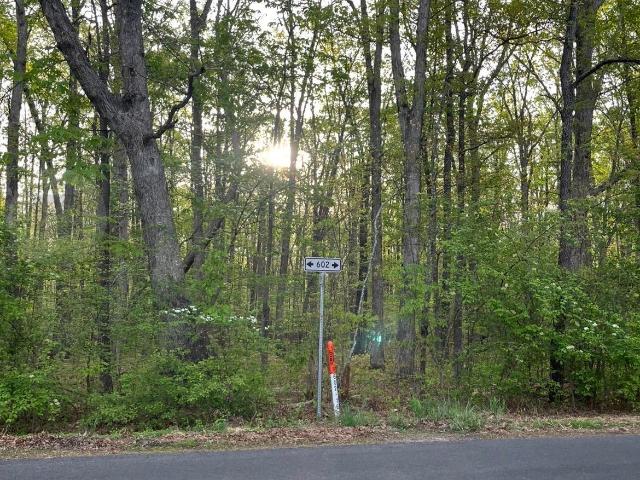 Black Walnut Run Rd, Rhoadesville, VA 22542 | MLS #675896 | Compass
