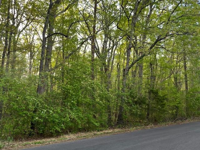 Black walnut run rd