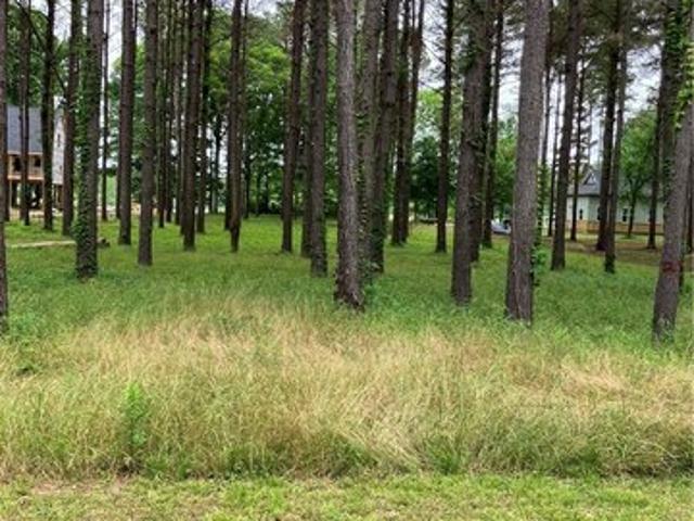 Black Warrior Byu Lot 29, Akron, AL 35441
