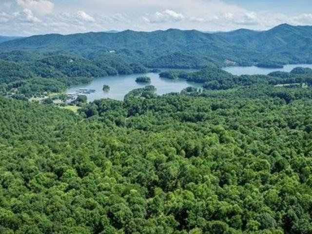 Black Bear Dr, Butler, TN 37640