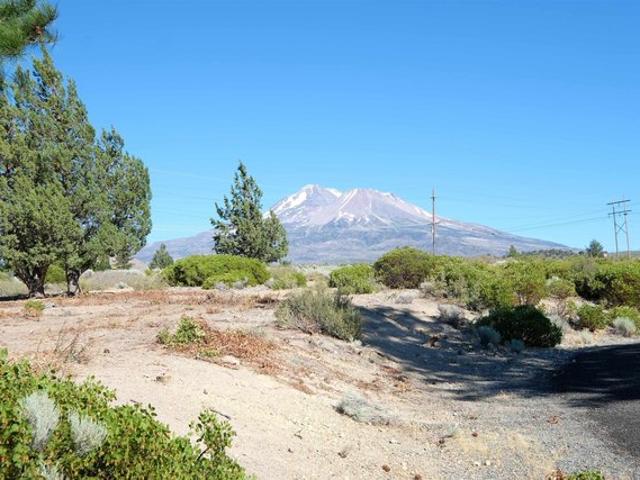 Black Bear Rd Lots 83 & 7 2, Weed, CA 96094