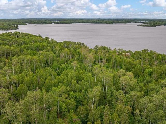 Black Bear Trl, Ely, MN 55731