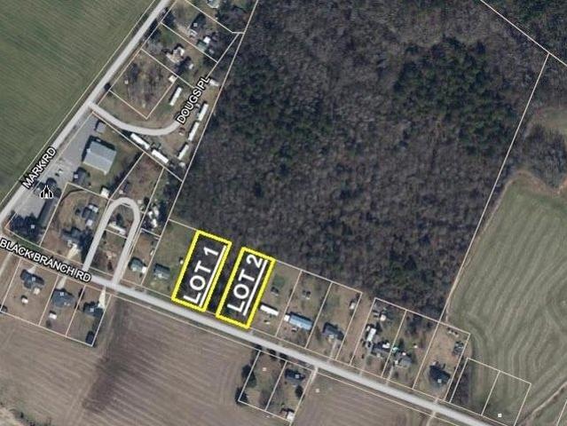Black Branch Rd Lot 2, Dillon, SC 29536