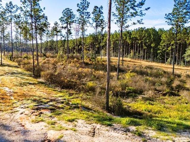 Black Buck Dr Lot 2, Moscow, TX 75960