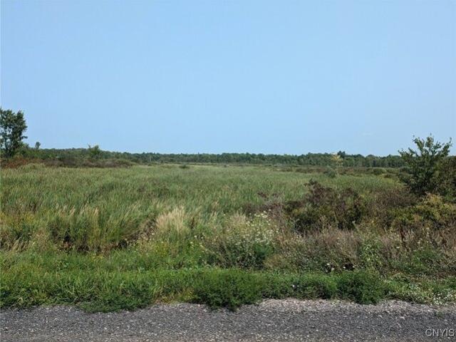 Black Creek Rd, Clayton, Farm House For