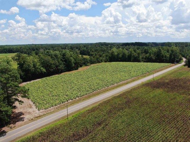 Black Creek Rd, Nichols, SC 29581