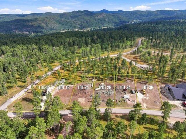 Black Forest Rd Lots 1A & 1B, Lead, SD 57754