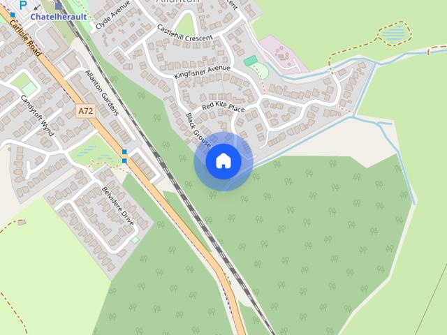 Black Grouse Grove, Ferniegair, Hamilton, South Lanarkshire