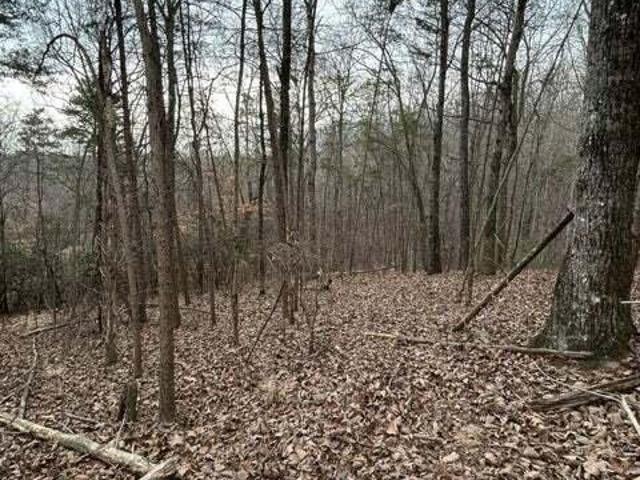 Black Hawk Drive, Ten Mile, TN 37880