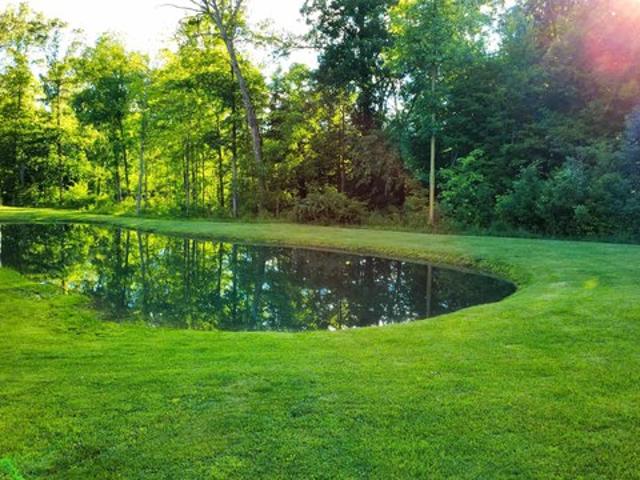 Black Hoof Run Lot 1, Fremont, IN 46737
