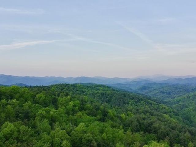 Black Maple Way Lot 41, Del Rio, TN 37727