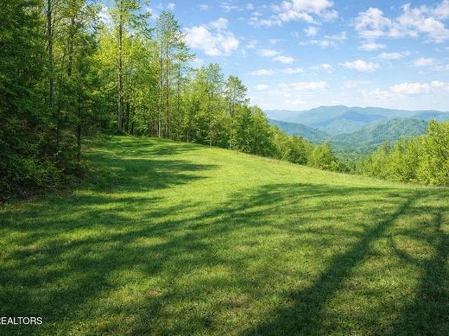 Black Maple Way Lot 41, Del Rio, TN 37727