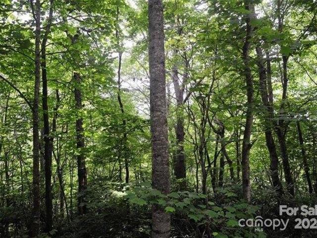 Black Mountain NC 28711 103604464