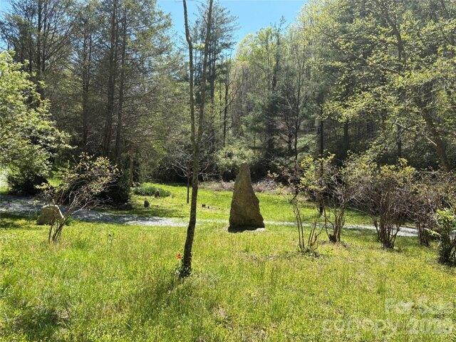 Black Mountain NC 28711 103605758