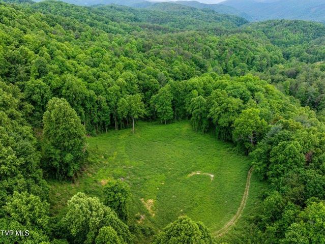 Black Mountain Rd, Hartford, TN 37753