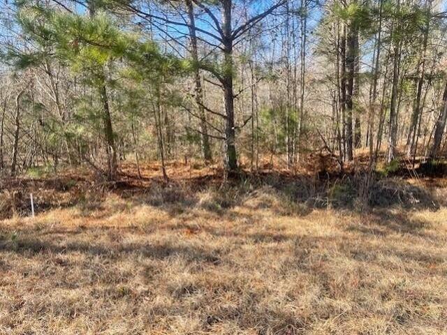 Black Pearl Dr Lot 8, Warrenton, GA